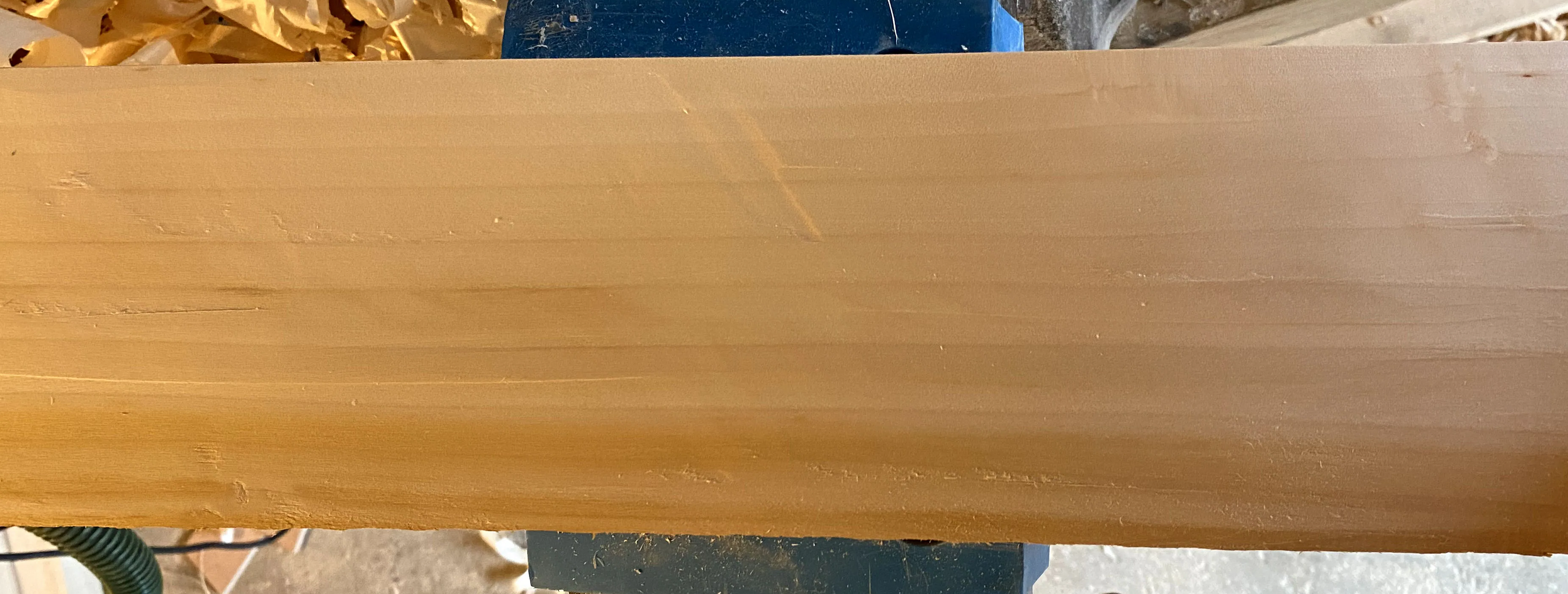 5 Key Insights into Cricket Bat Willow Grains | Trogon Cricket
