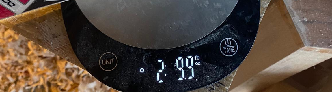 Understanding Cricket Bat Weights