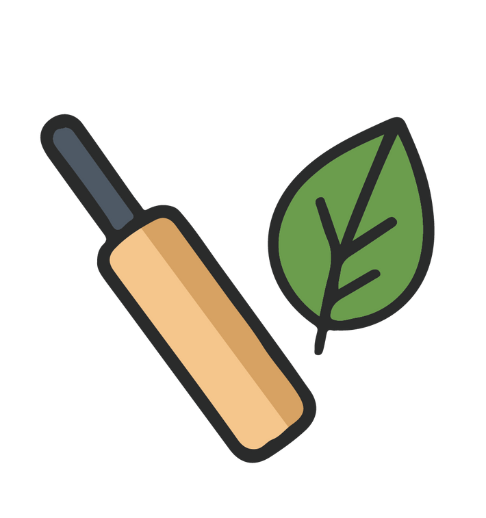 Understanding Grades of English Willow Cricket Bats | Trogon Cricket